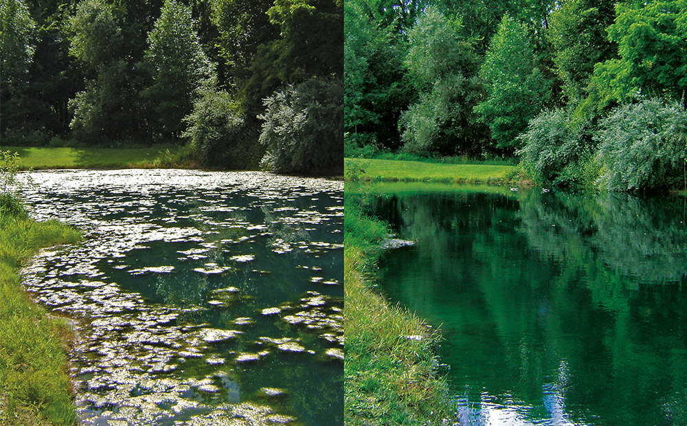 Cyanobacteria and green algae removal for reservoirs and surface waters ...