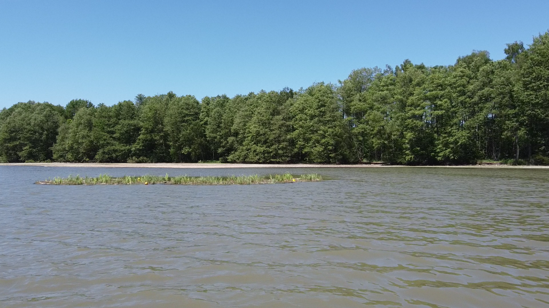 Floating Reed Systems | Photon Water